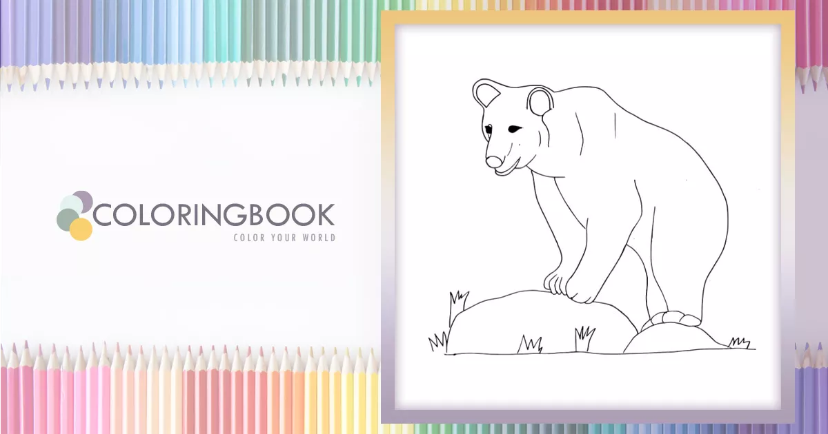 Brown bear – Coloringbook.pics